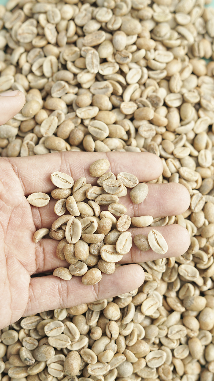 SIMALEM COFFEE